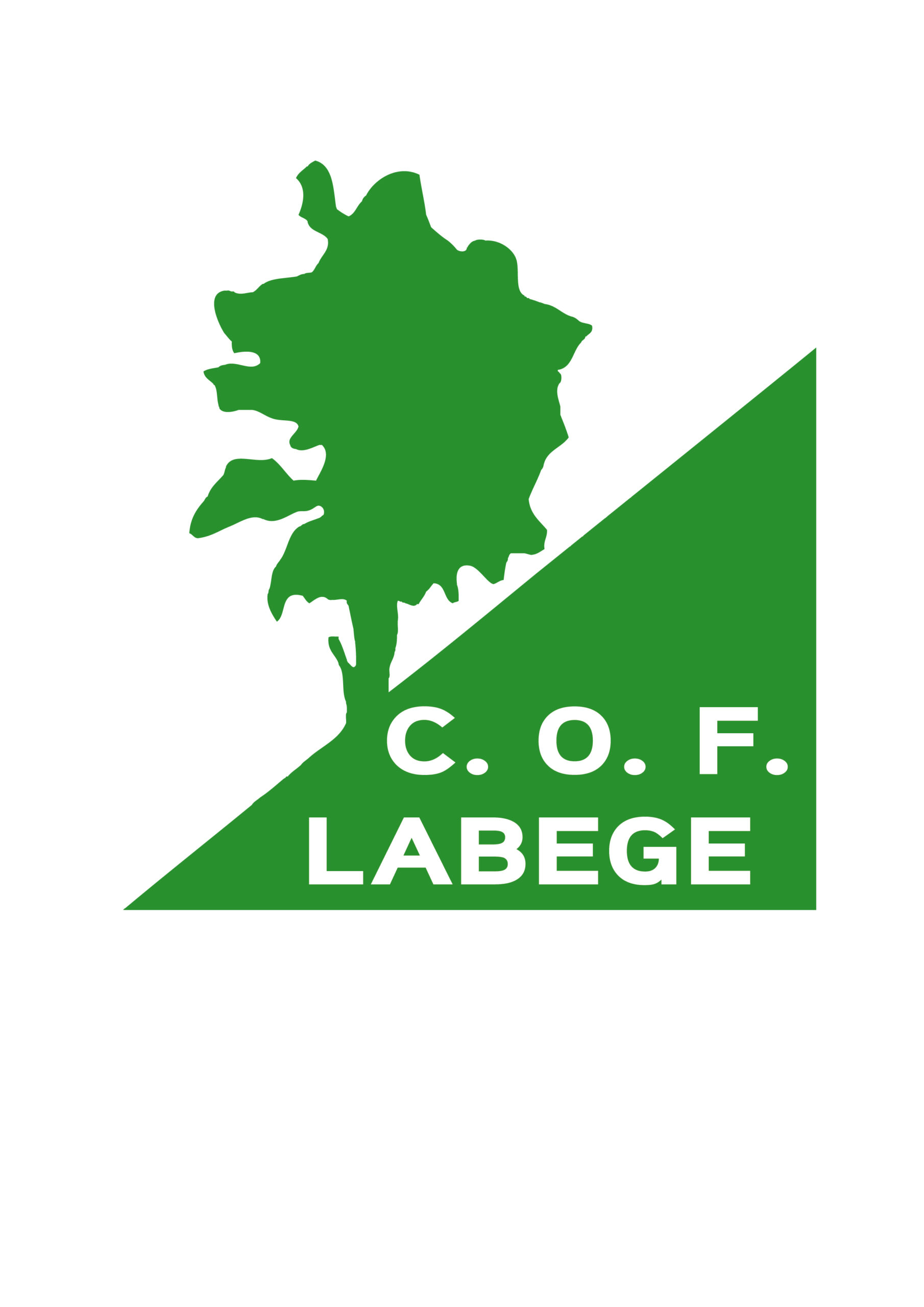 Comité Officiel des Fêtes (COF) - Mairie de Labège